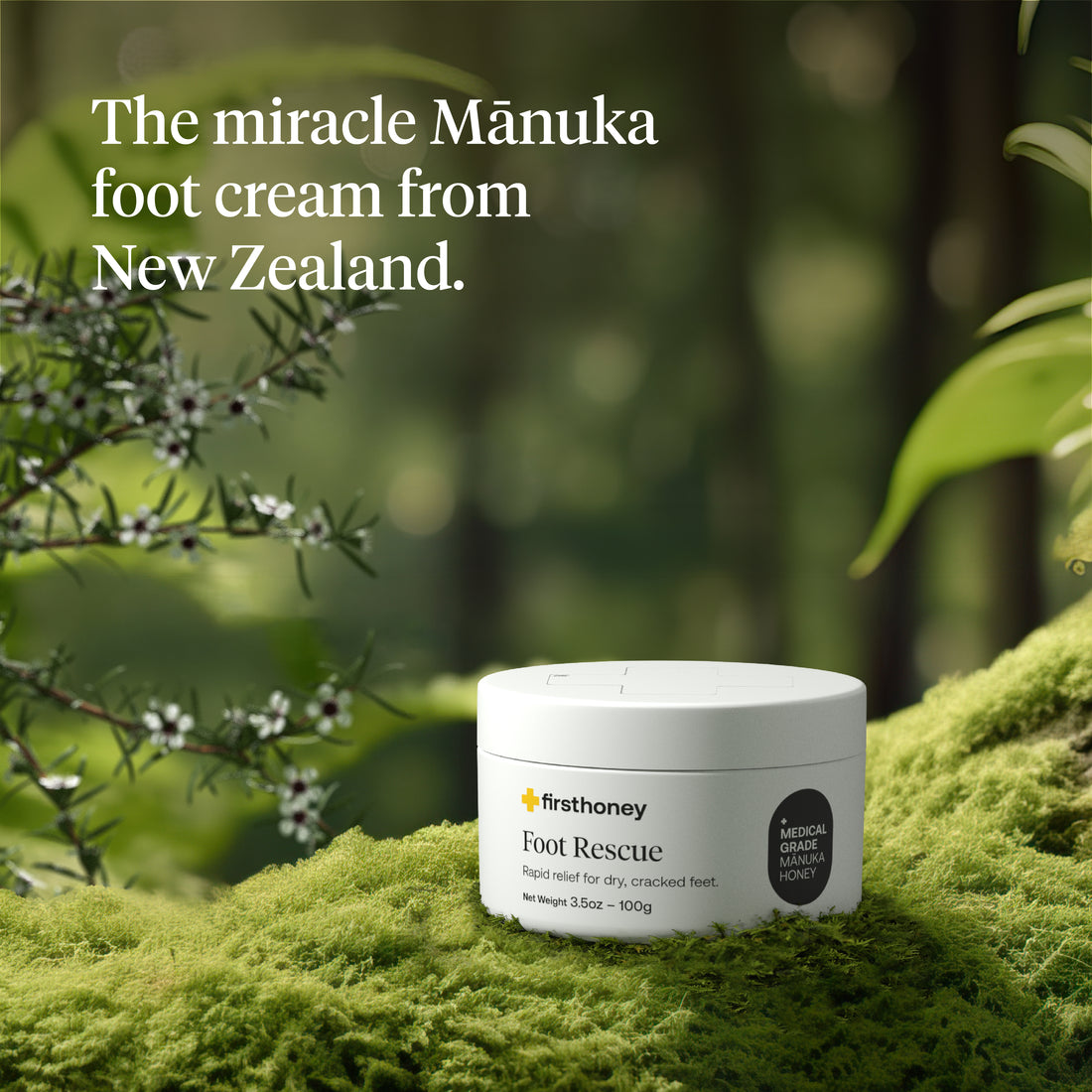 Manuka Honey Cream for Cracked Heels | First Honey